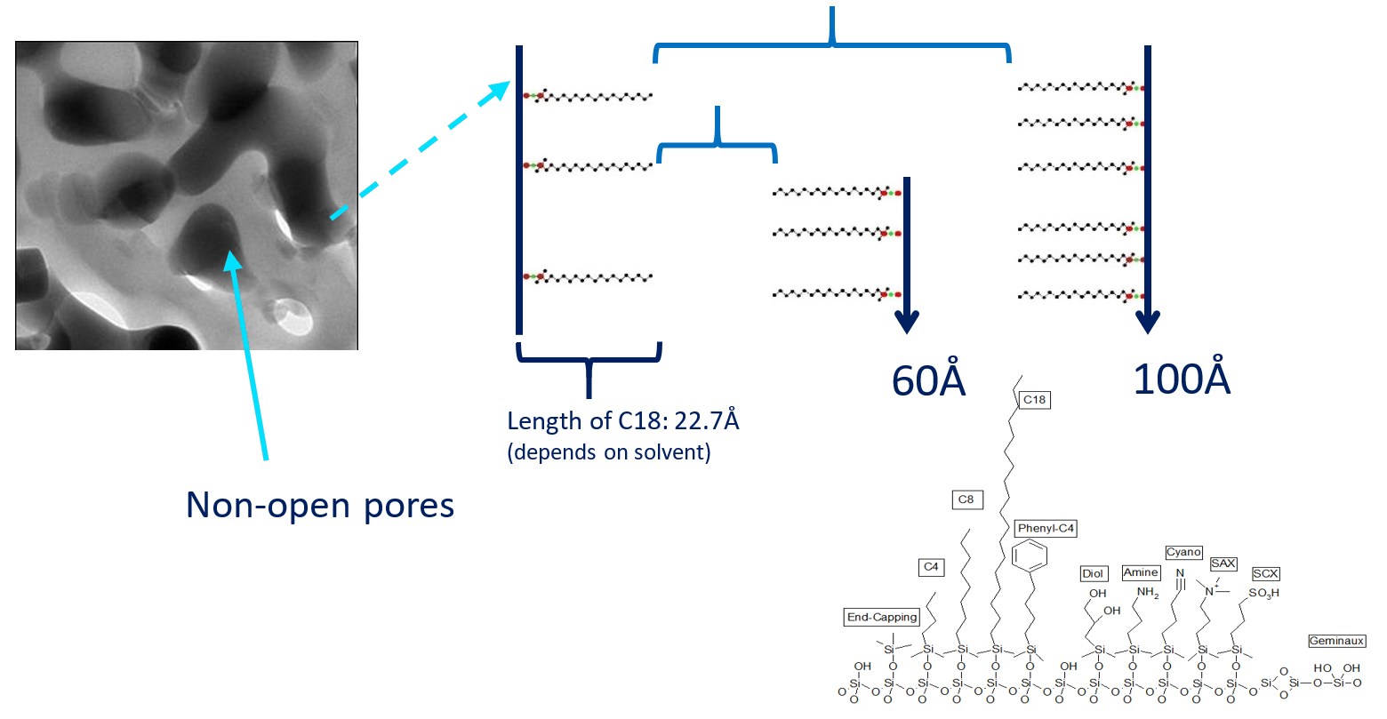 Développement de méthode de purification des peptides en phase inverse ...